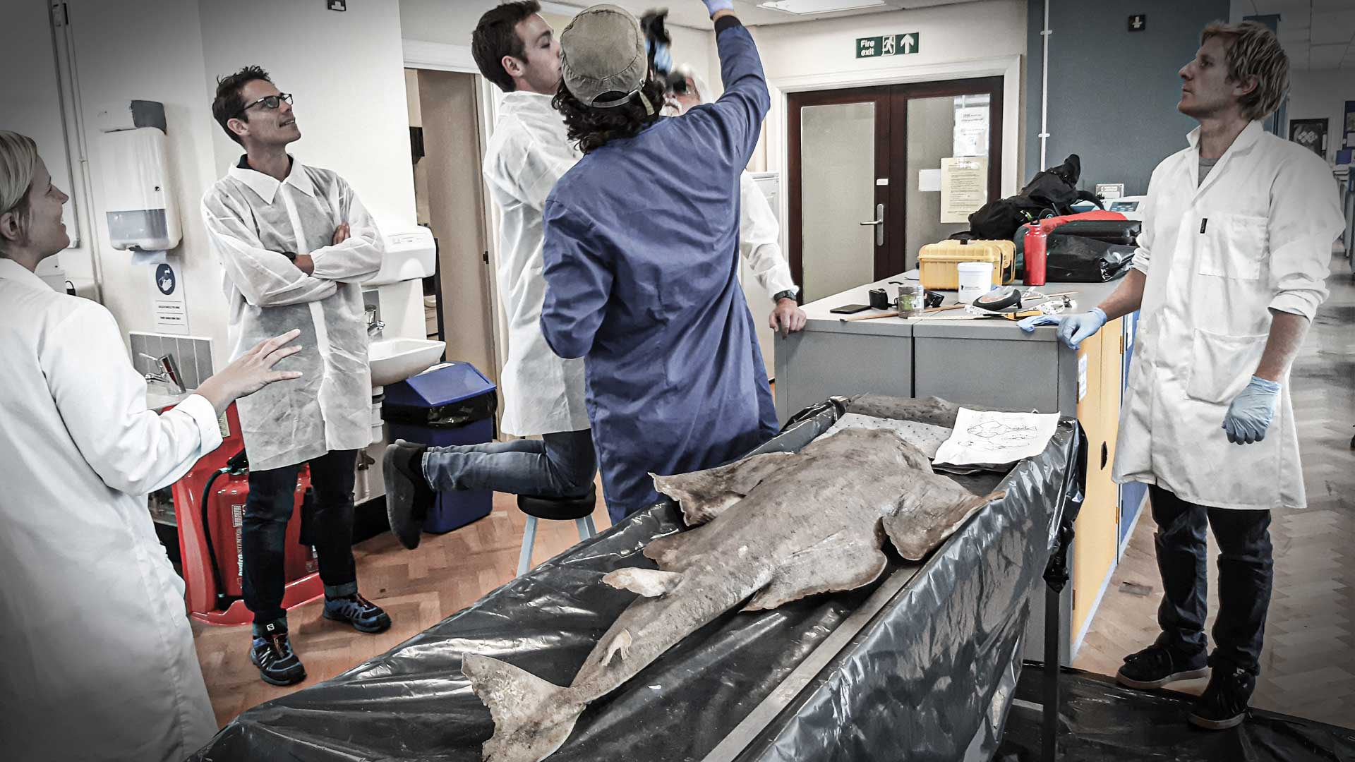 Science and research | SIARC